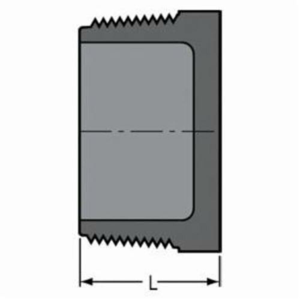 Spears® 850-100F, 10" Nominal, MNPT end style, SCH 80, PVC | First Supply