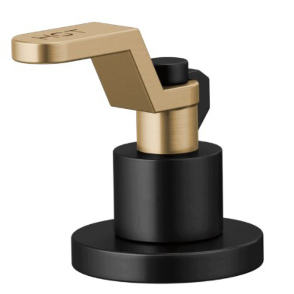 Brizo® HL5334-BLGL-NM Litze® Two Faucet Handle Kit, For Use With ...