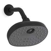 Kohler® 26290-G-BL Statement™ Oval Multifunction 1.75 gpm Showerhead w ...