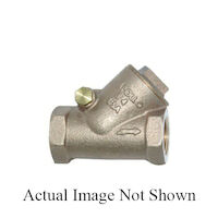 Apollo™ 61Y-219-01 164T212 Y-Pattern Swing Check Valve, 2-1/2", NPT ...