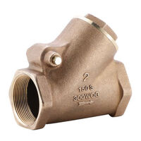 Matco-Norca™ 532T06 1-1/4" Y-Pattern Swing Check Valve, Thread End ...