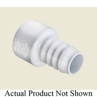 Spears® 474-080F Standard Adapter, 8" Nominal, Insert x Socket End ...