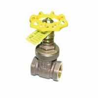 Apollo™ 30-288-01 30 Series, 107T Non Rising Stem Gate Valve, 2", NPT ...
