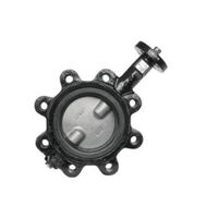 600-12DSEG BFV-LUG 12" Lug Style Butterfly Valve, Epoxy-Coated Ductile ...