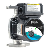 Goulds Laing Theromotech Series ecocirc® 60B0G1031 20-18 Recirculating ...