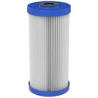 Pure Simplicity PS155101-43 R30-BB Pleated Polyester Filter Cartridge ...