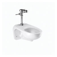 Sloan® 24501301 WETS-2450 Closet and Flushometer, Elongated Bowl, 13-1/ ...